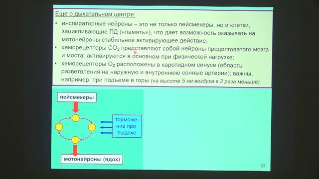 Дубынин В. А. - Физиология потребностей - 10. Гомеостаз