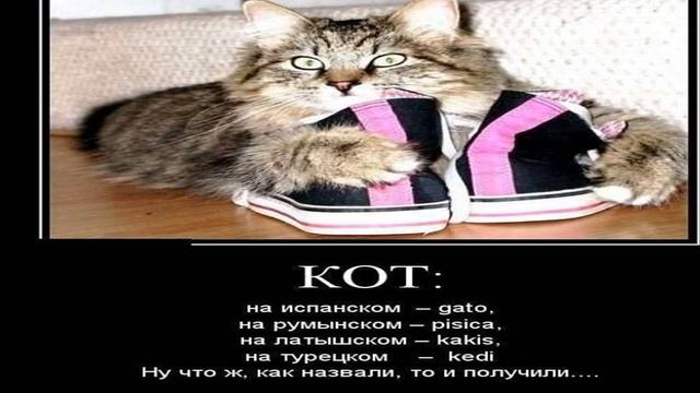 ЗАРЯДИСЬ ХОРОШИМ НАСТРОЕНИЕМ