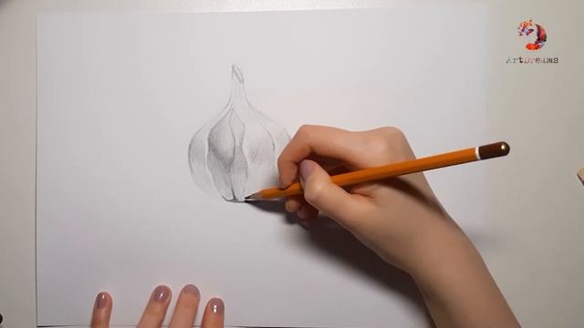 Рисуем головку чеснока простым карандашом!