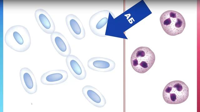 Антибиотикопрофилактика