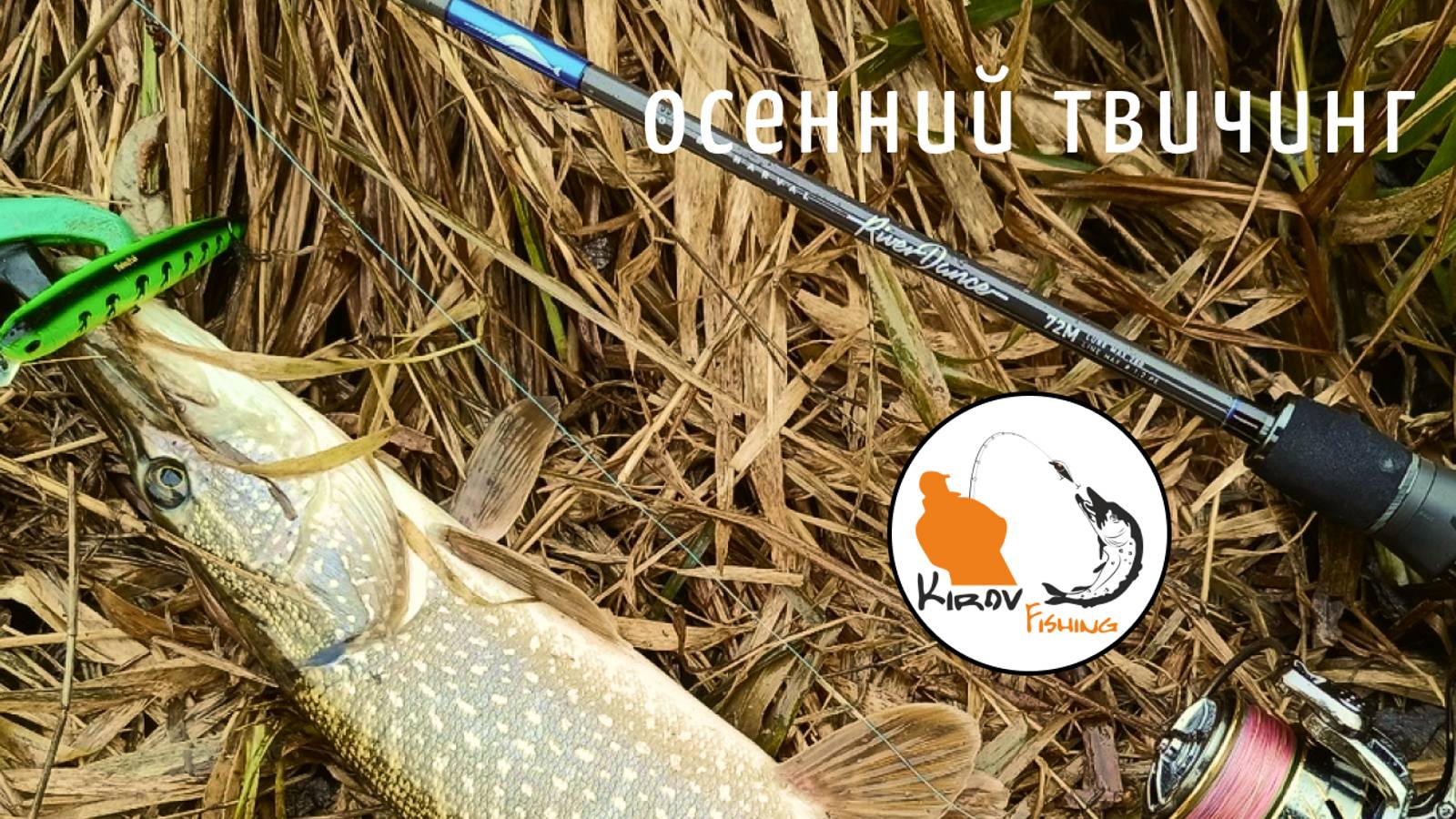 Ловля щуки твичингом на новый River Dance Narval