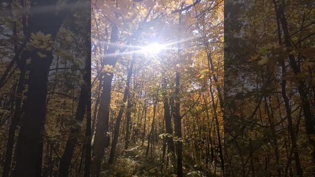 Осень - необыкновенное время для вдохновения, восхищения и маленьких путешествий.