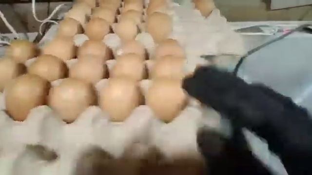 Светлана Сергеевна Иркутск Конец ноября