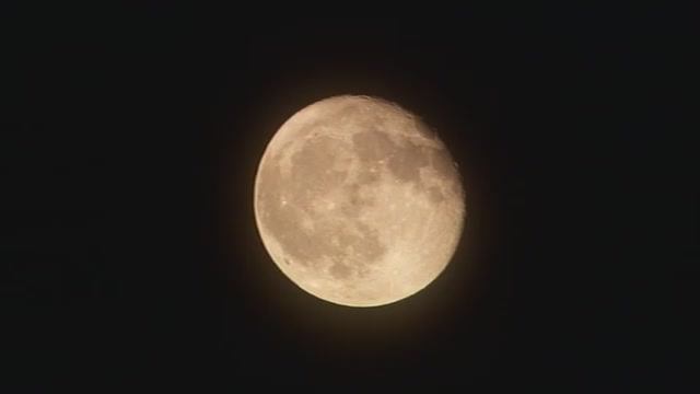 Glenn Gould. Hereafter. Film by Bruno Monsaingeon, 2005 (ссылка на русский перевод в комментарии)