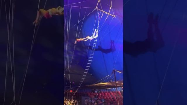 Wait for it 🫣#circus #flip #shorts