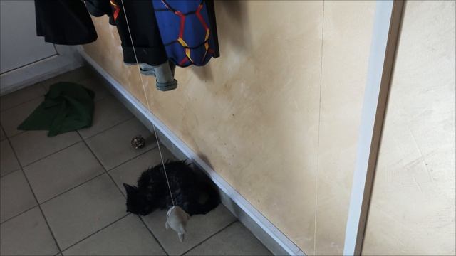 20241102_123803 после душа