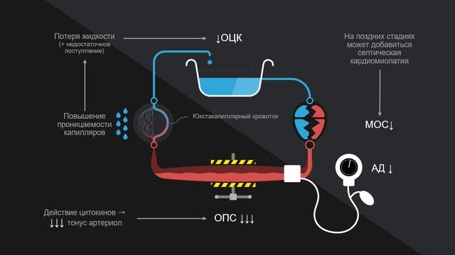 Шок - Лекция 2 - часть 2