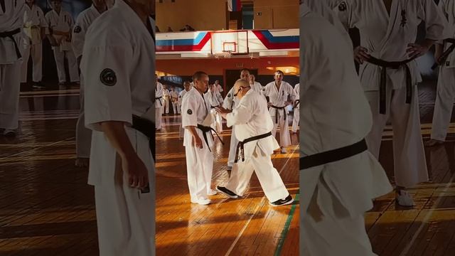 Кёкусинкай / Прикладной раздел / Сихан Танюшкин / УТС СЗФО (ноябрь 2024) #4