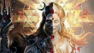 Бхарат 4 часть. Вторая неделя выживания.