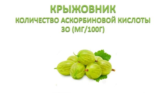Топ 30 продуктов богатые витамином С