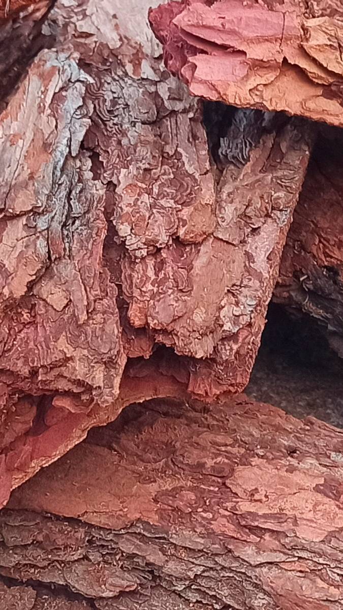 Кора сибирской лиственницы 5-10 см, примесь щепы 1-5%, 60л