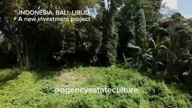 ПРОЕКТ ПРЕМИАЛЬНЫХ ДИЗАЙНЕРСКИХ ВИЛЛ В СЕРДЦЕ ИНДОНЕЗИЙСКОГО БАЛИ  С ИНДИВИДУАЛЬНЫМИ БАССЕЙНАМИ