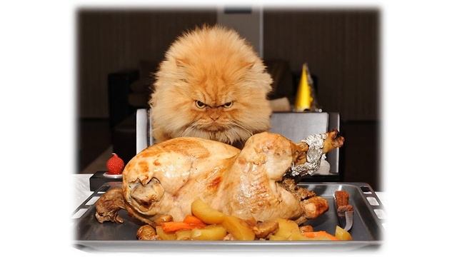 ЛОВИ ВОЛНУ ХОРОШЕГО НАСТРОЕНИЯ!