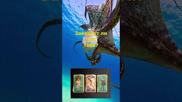 Зависть в отношениях