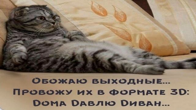 Прикольные картинки с юмором