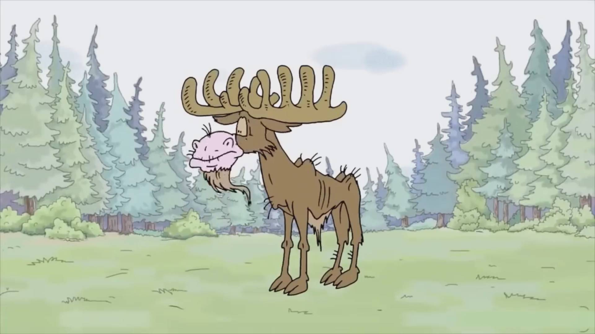 Улётный мультик, про охоту и охотников. Минутка юмора.