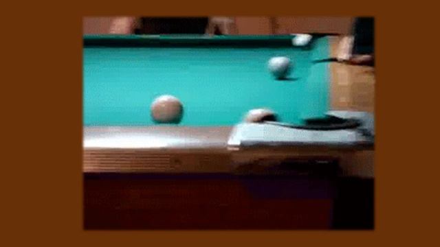 Какие же милые и забавные эти животные