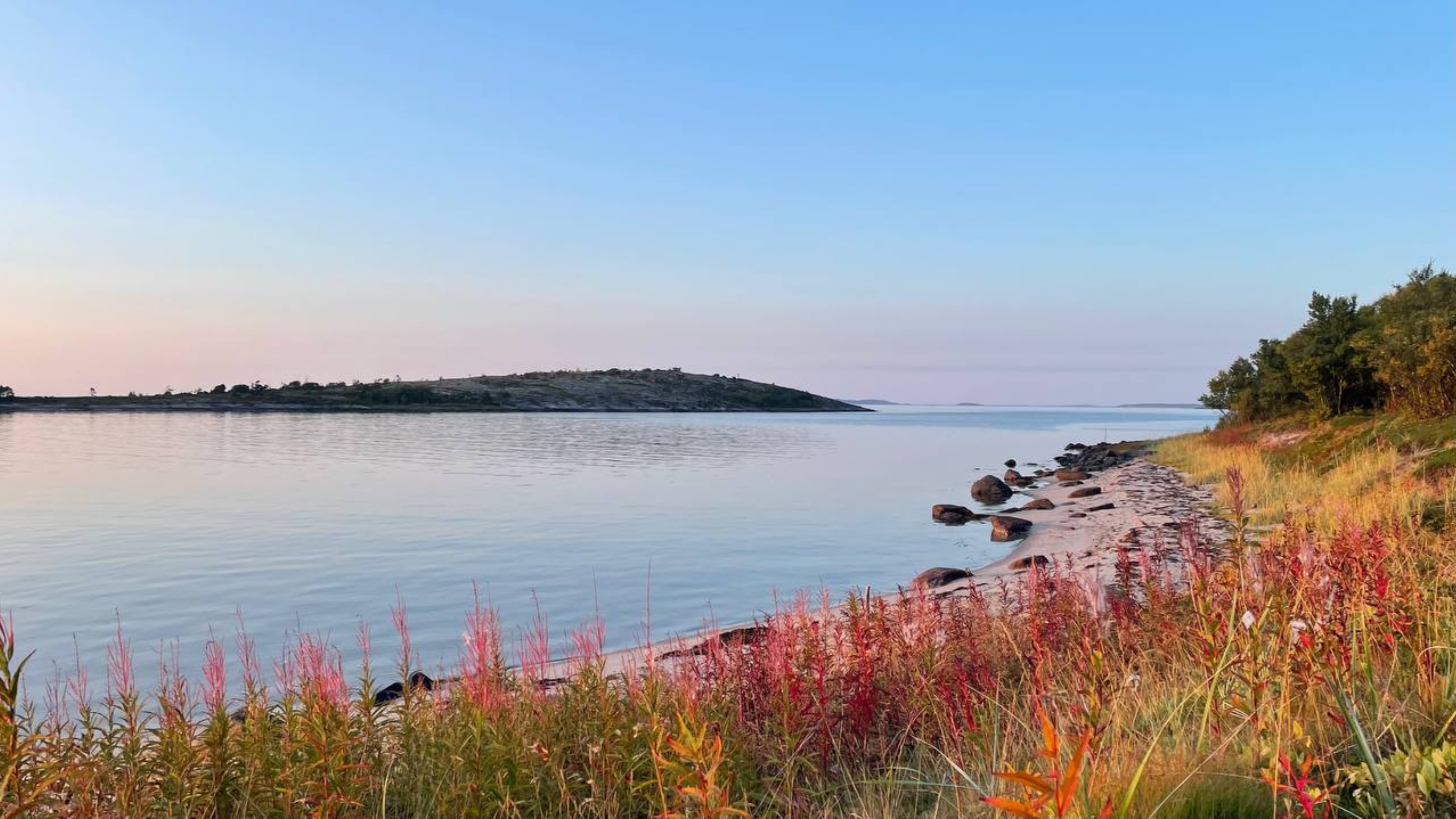 Комплекс хатха-йоги/ раскрепощение тела
