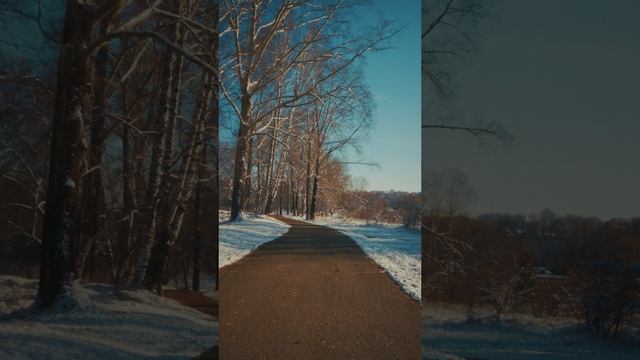 Выпал снег, поехали кататься