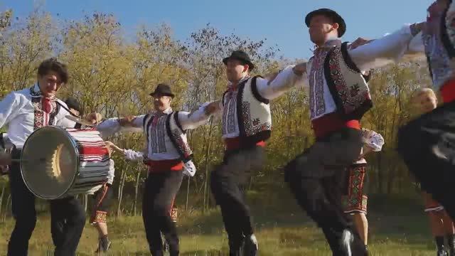 Сырба дин Стрыбунь 🎻🎷🪗🔥🥁🎺 Музика популарэ молдовеняскэ