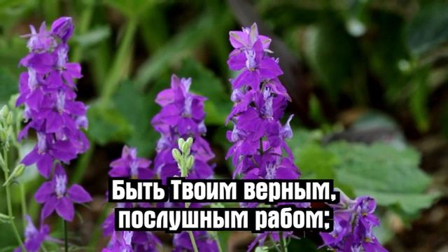 Псалмы Сиона - В день Твой субботний