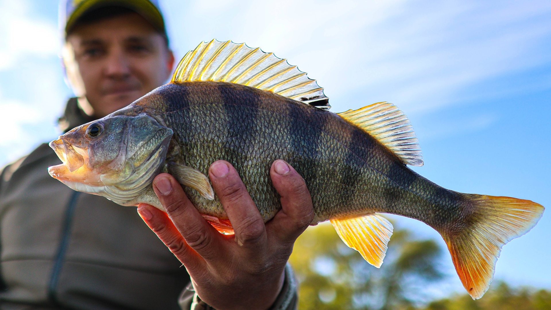 Огромный ОКУНЬ чуть спиннинг не забрал 💪💪💪 Тест  эхолота CALYPSO 👍 Микроджиг ловит ТРОФЕЕВ 💪