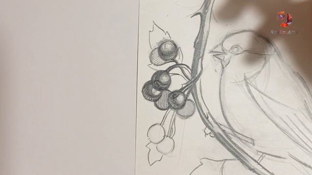 Рисуем птичку в графике за 30 минут!