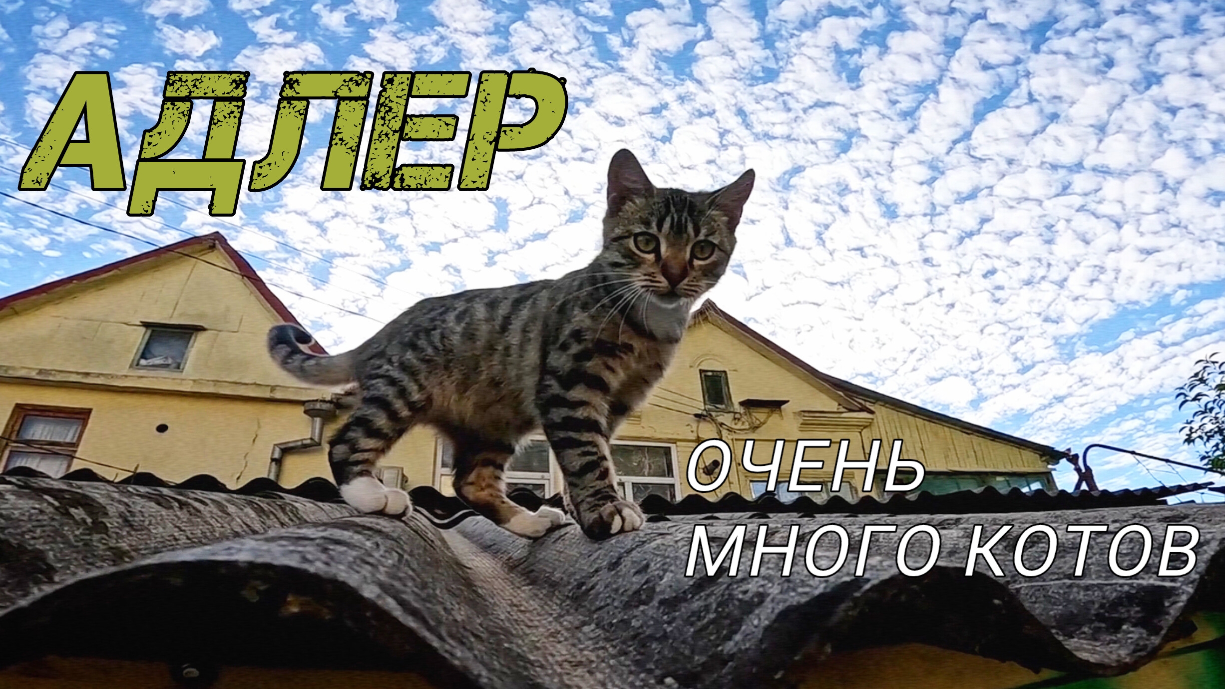 Сочи в несезон. Конец октября 2024. Нетуристические места и не только.