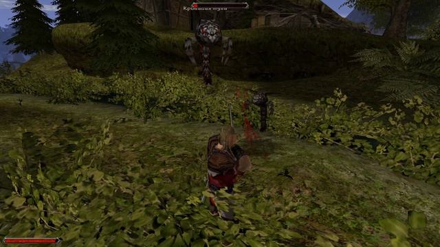 Gothic 2 / Готика 2 Прохождение 019