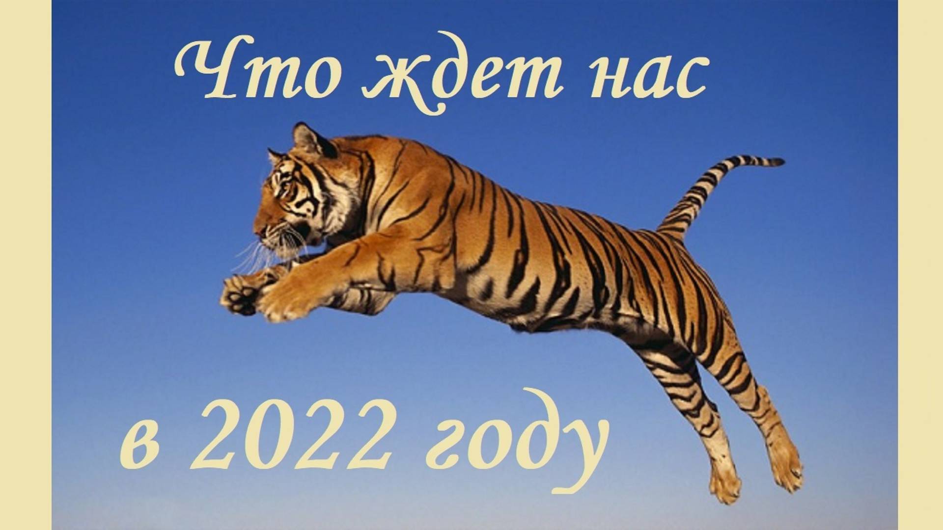 С Годом Тигра 2022