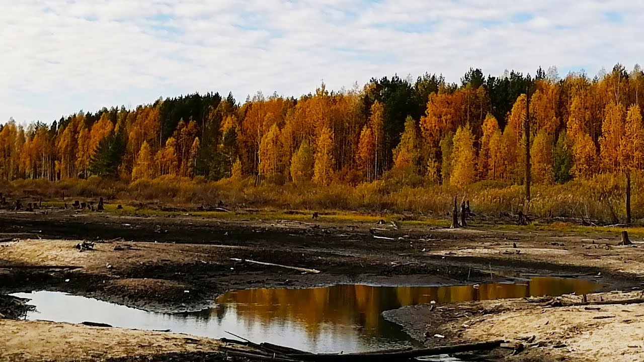 ЛУЖА ПЕРЕСОХЛА! РОТАН-КАБАН И КАРАСЬ НА ГЛУБИНЕ 10 СМ! Рыбалка на поплавок