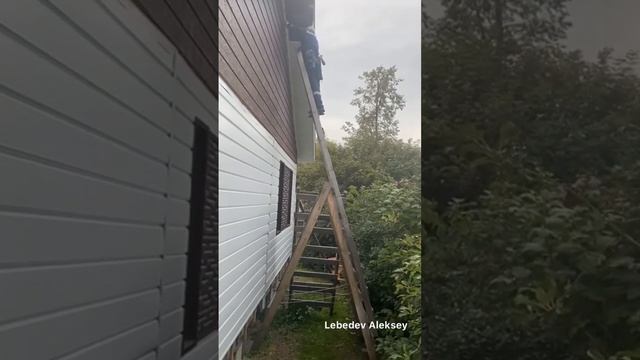 Папа, не упади!