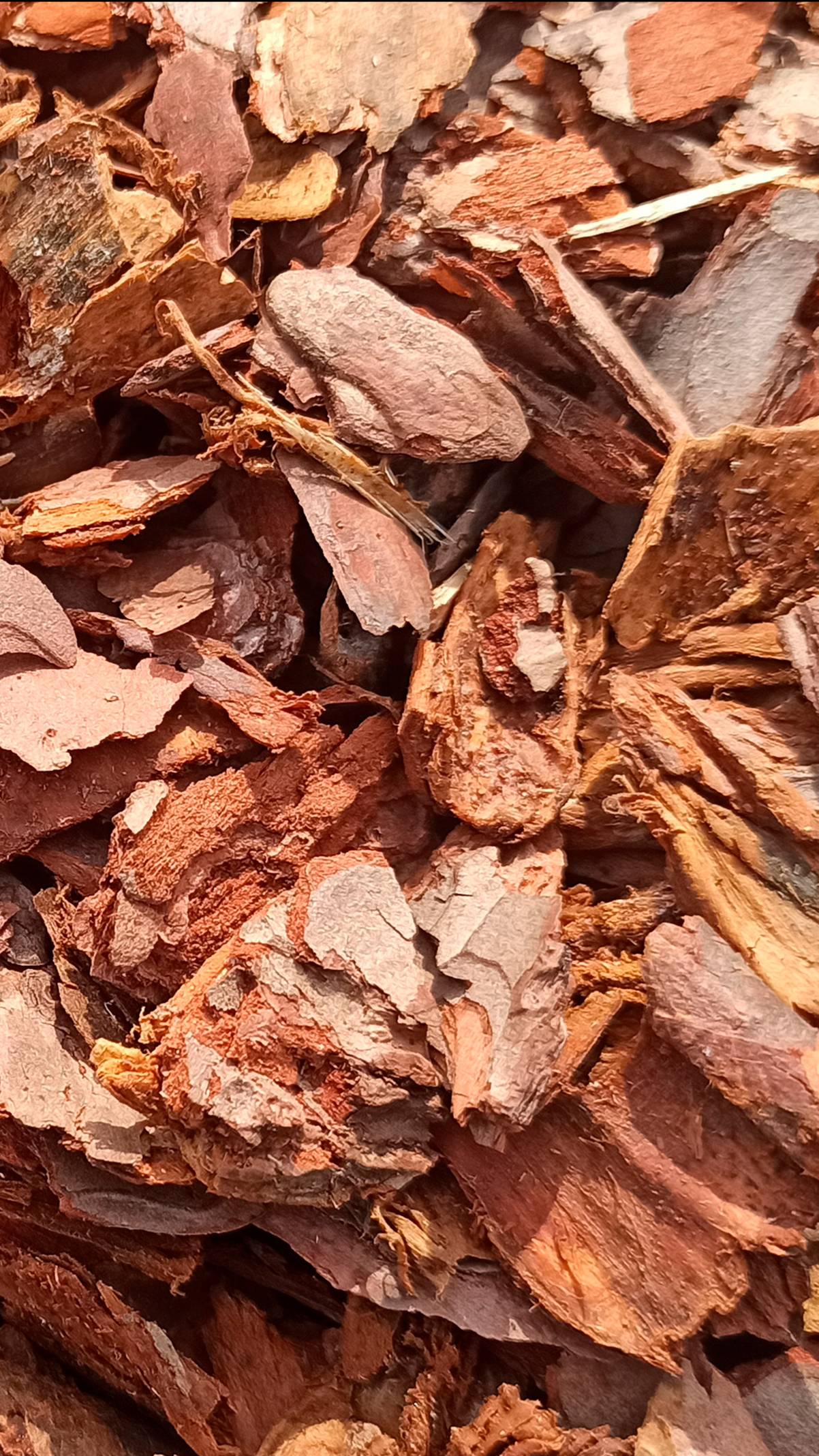 Кора сибирской сосны 1-3 см, примесь щепы 5-8%, 60л