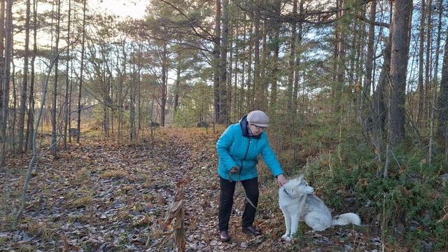 Отдыхаем на природе-Сегежа 1 п ов