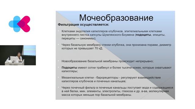 Физиология почек и мочеобразование
