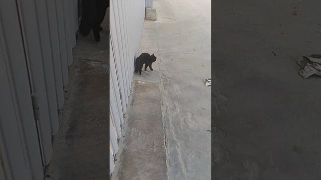 2024-11-02_16-14-44 После душа высох