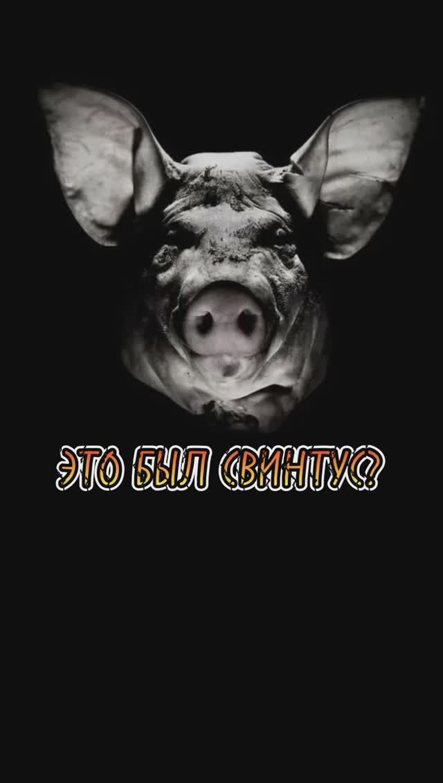 Это был свинтус / Мистическая история
