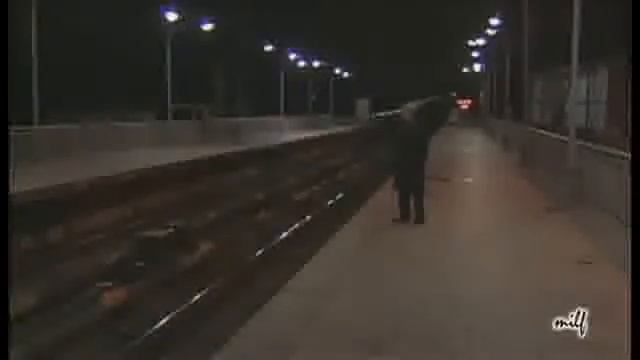 Слава Медяник   Дым твоих папирос