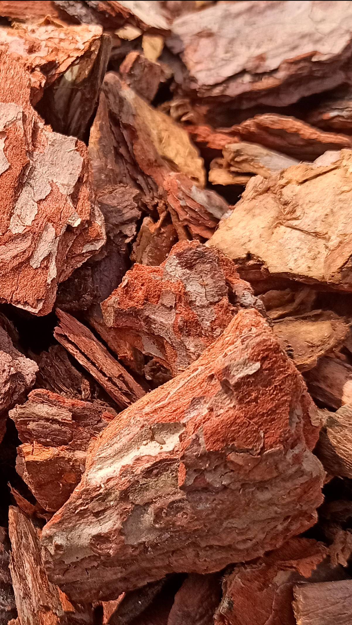 Кора сибирской сосны 5-10 см, примесь щепы 1-5%, 60л