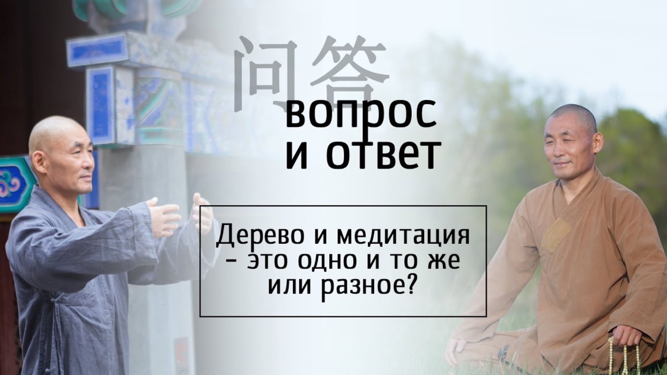 Дерево и медитация