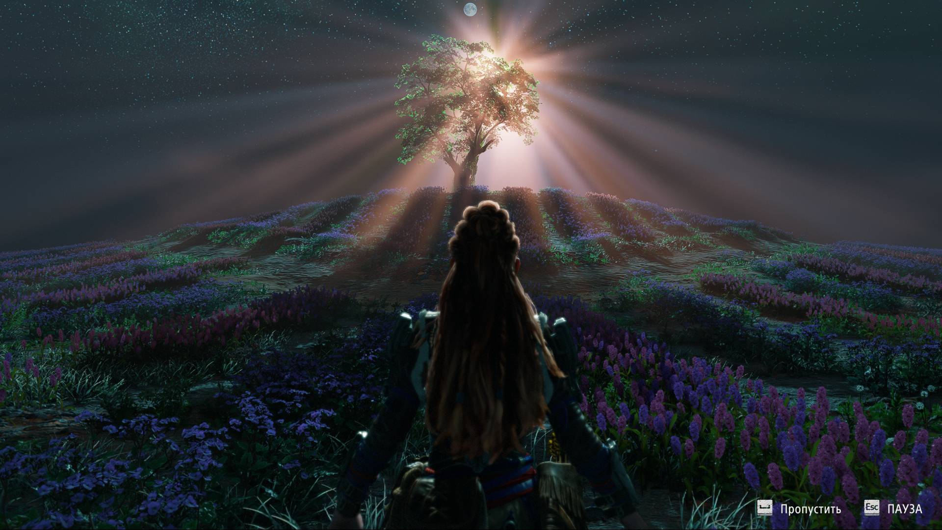 Обзор Horizon Forbidden West Complete Edition 4k Начальная Сцена