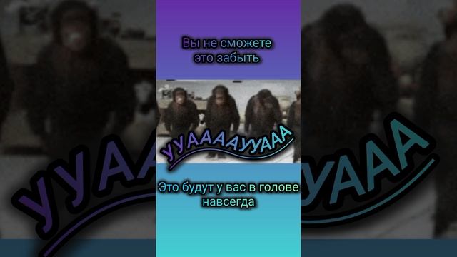 ВЫ НЕ СМОЖЕТЕ ЭТО ЗАБЫТЬ!!! Обезьяны поют УААУУУАААУУУ!!! #мем