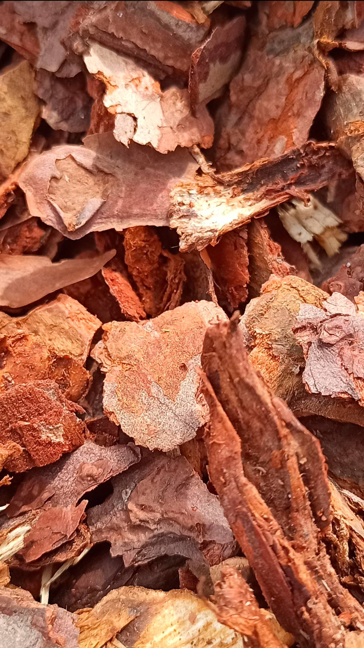 Кора сибирской сосны 2-5 см, примесь щепы 3-8%, 60л