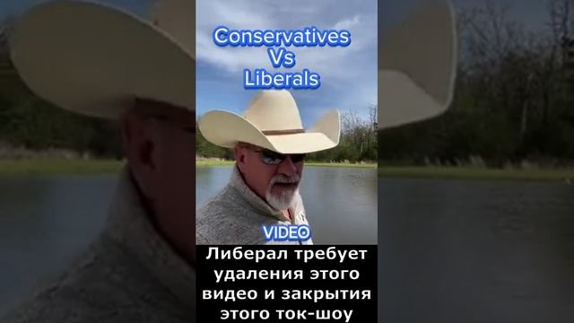 либералы и демократы