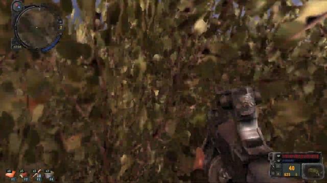 S.T.A.L.K.E.R. Call of Pripyat Затон и Янов 008