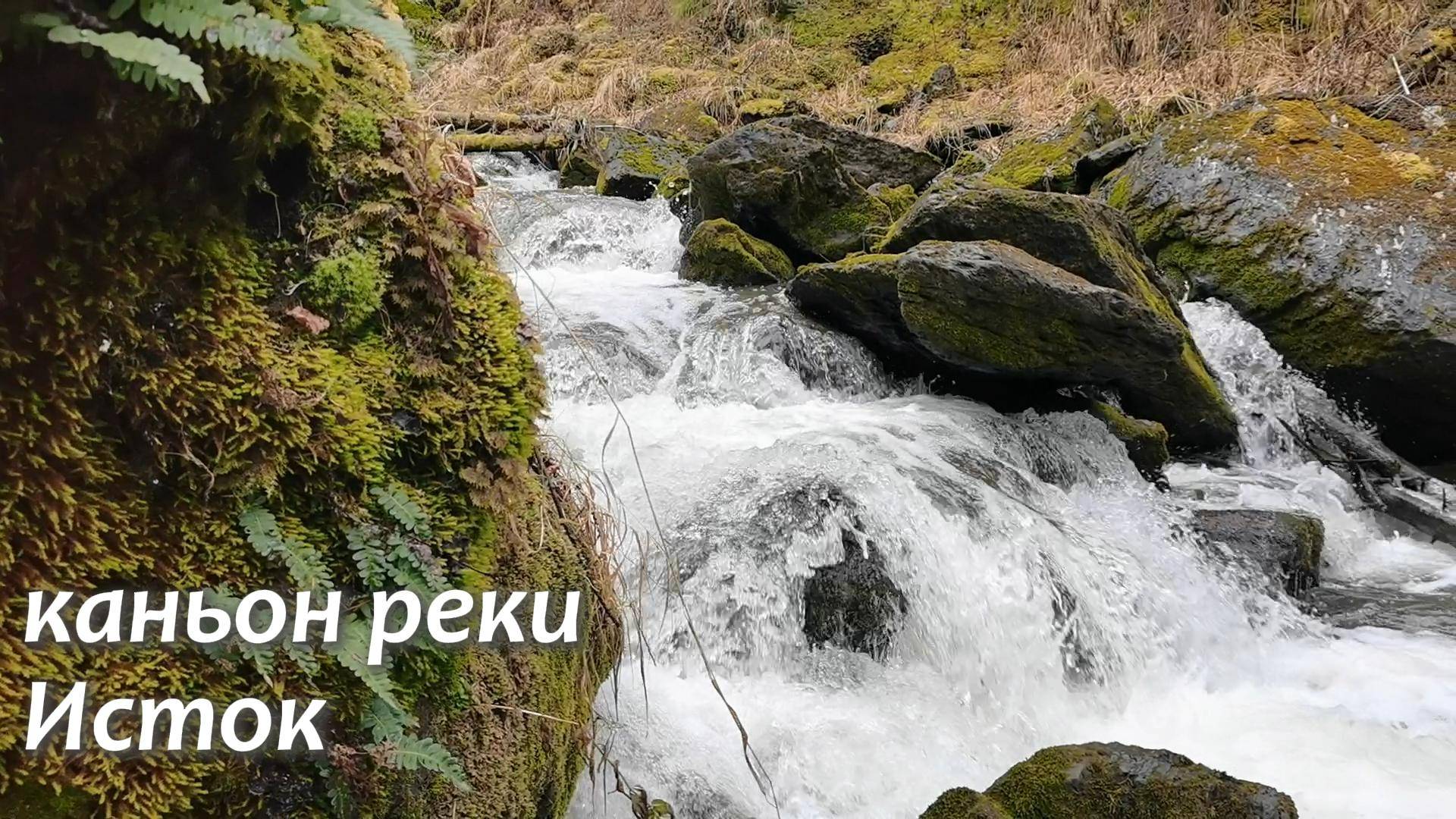 Каньон реки Исток (Салаирский кряж)