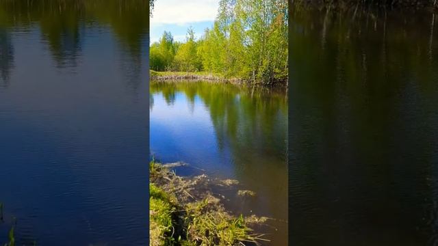 С ветромпередам тебе поцелуи..#анетсай #светром