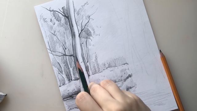 Рисуем лесной пейзаж!