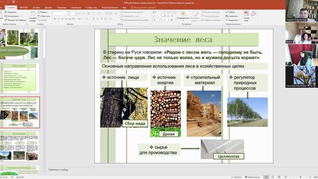 9 класс. Лесопромышленный комплекс