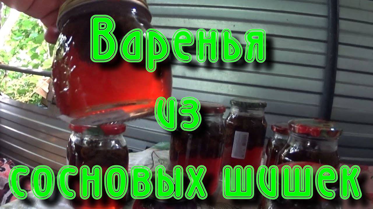 Варенья из сосновых шишек. Необычный рецепт.